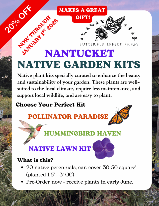 2026 NANTUCKET Pre-Order Native Plant Kits – Butterfly Effect Farm